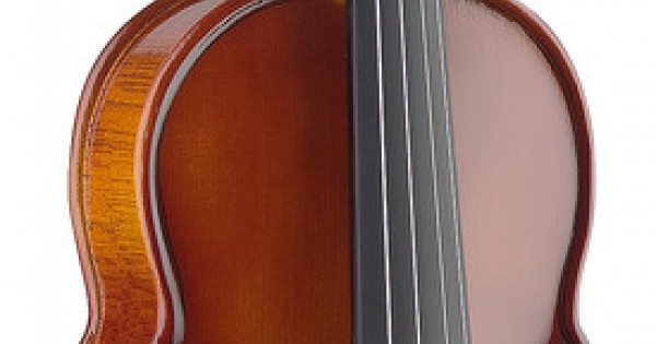 Vijole Stagg VN-4/4 :: Nopirkt internetveikalā Emuz.lv - mūzikas ...